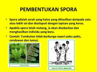 Jenis pembiakan1 | PPT
