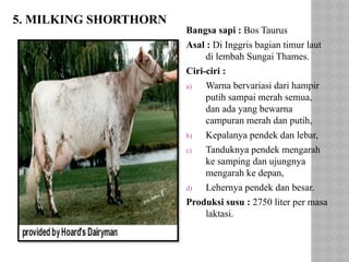 JENIS_SAPI_KAMBING_KERBAU_DAN_DOMBA_PERA.pptx