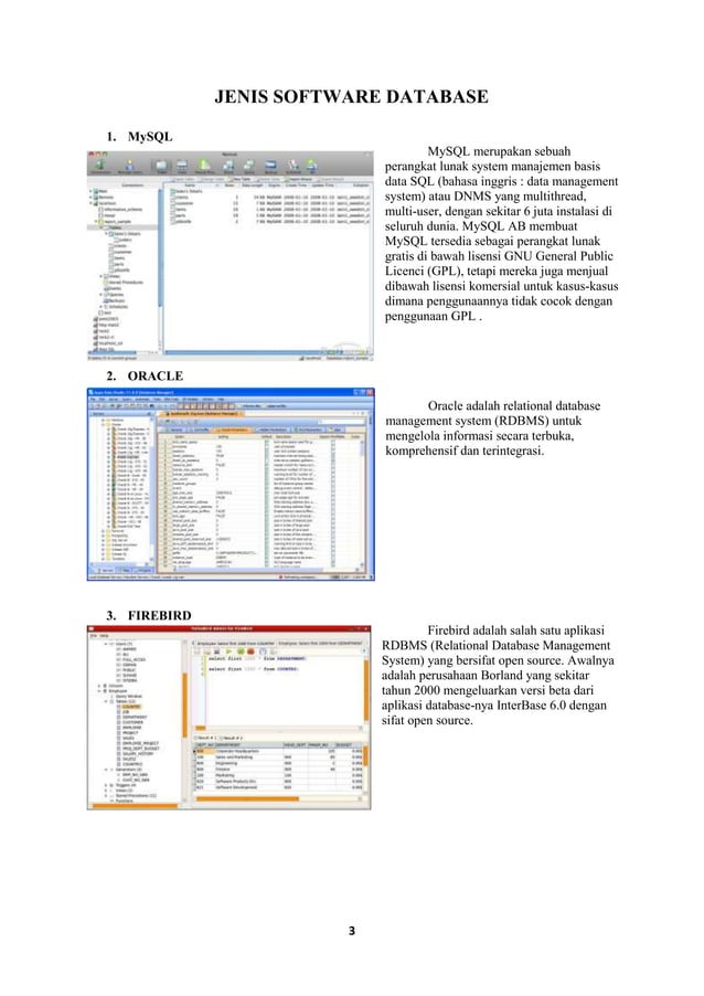 Jenis Software Database | DOCX