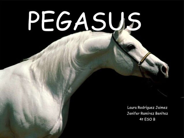 Pegasus | PPT