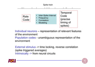 Jennie Si: "Computing with Neural Spikes" | PDF | Biological Sciences | Science