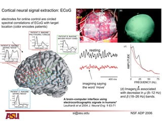 Jennie sinsfadp06 | PPT