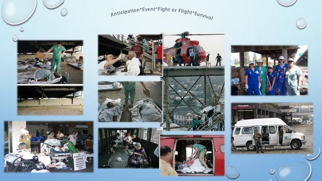 Disaster Management in Hospitals and Health Systems: Lessons from ...