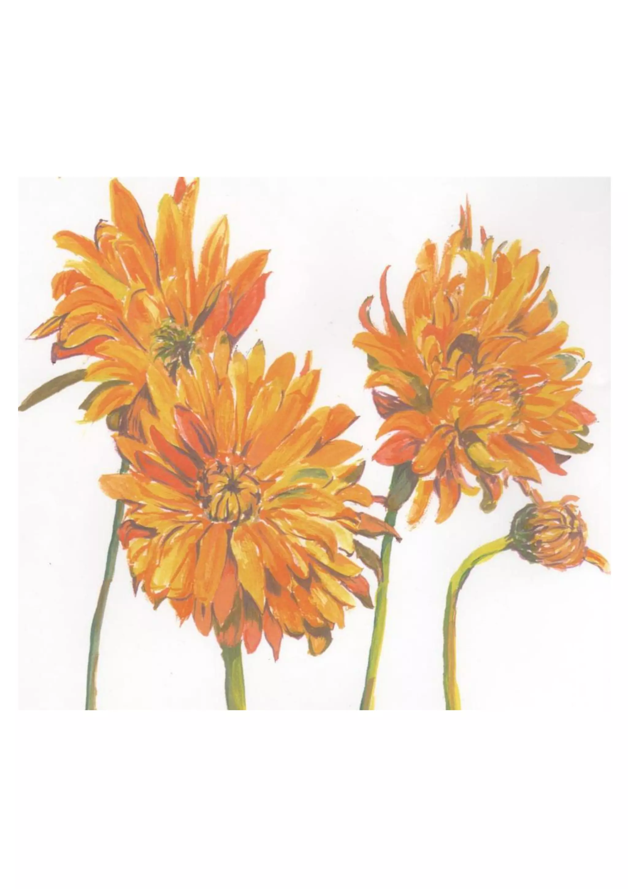 © Jennifer Buley Textile Design | PDF