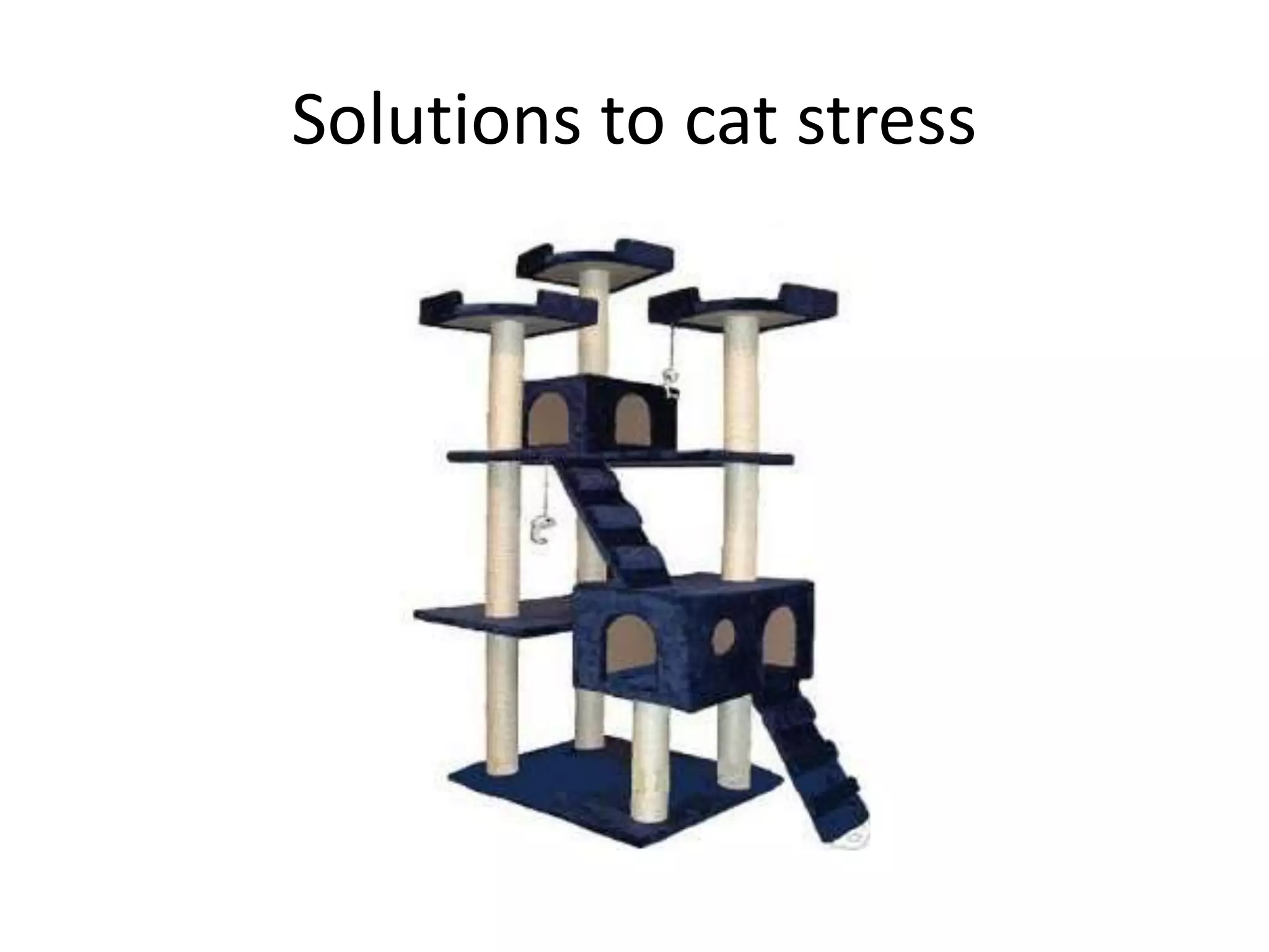 Feline Feelings: do owners notice stress-related behaviour? | PPT