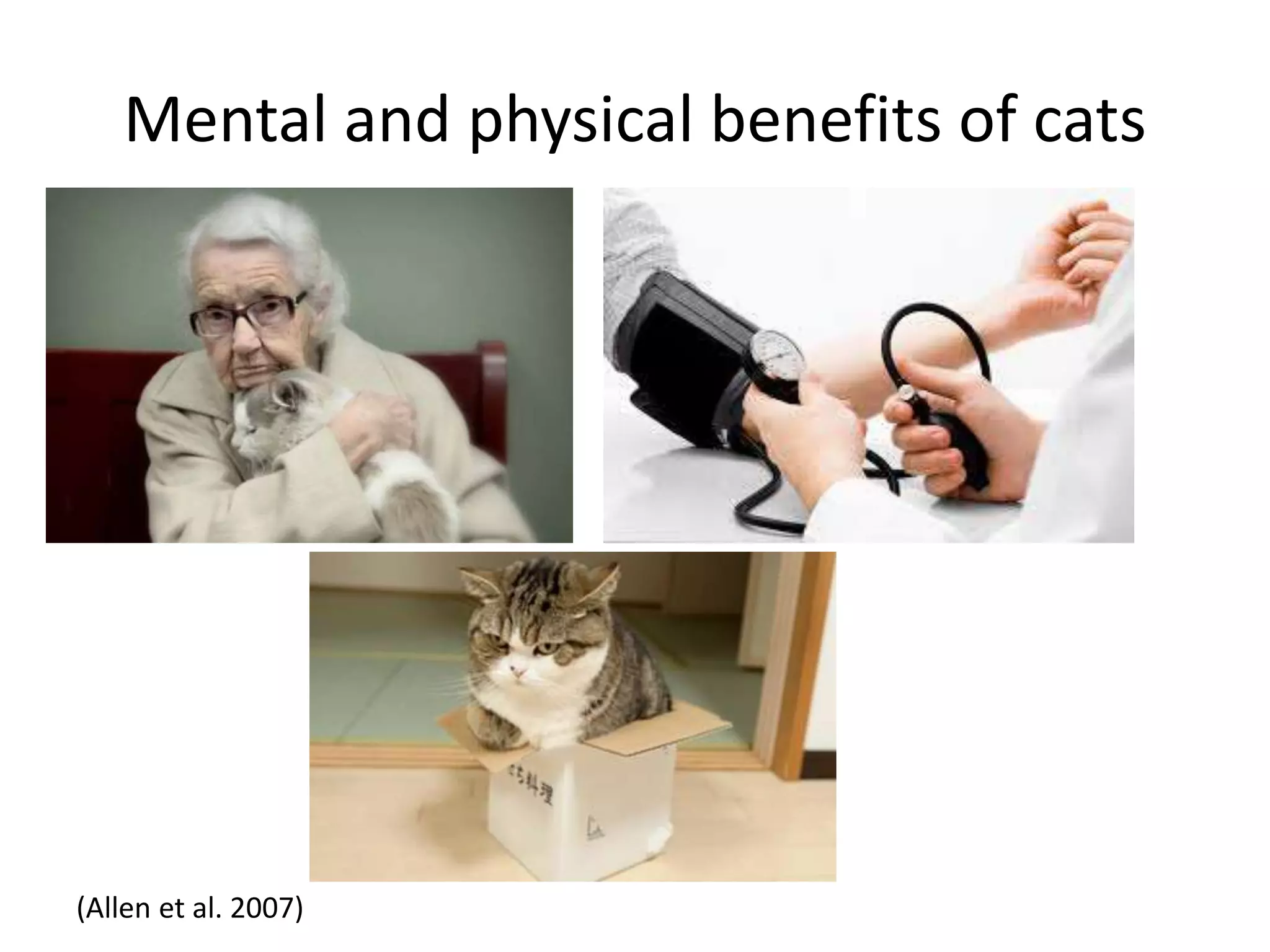Feline Feelings: do owners notice stress-related behaviour? | PPT