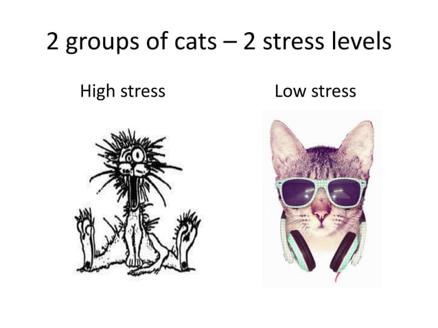 Feline Feelings: do owners notice stress-related behaviour? | PPT