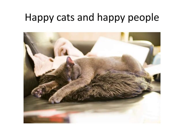 Feline Feelings: do owners notice stress-related behaviour? | PPT