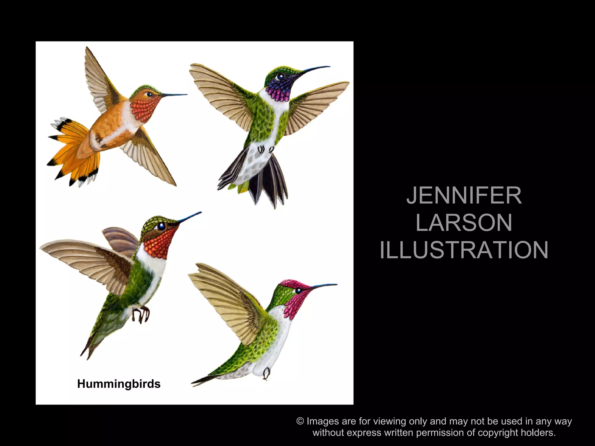 Jennifer Larson Illustration | PDF