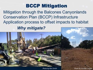 LCRA's T160 Project within the BCP | PPTX