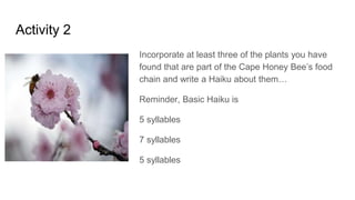 Learning Design for Problem-Solving | PPT