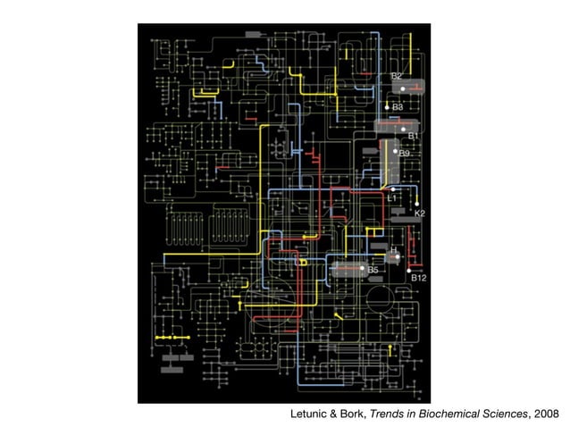 Making Gene Networks Through Data Integration Ppt