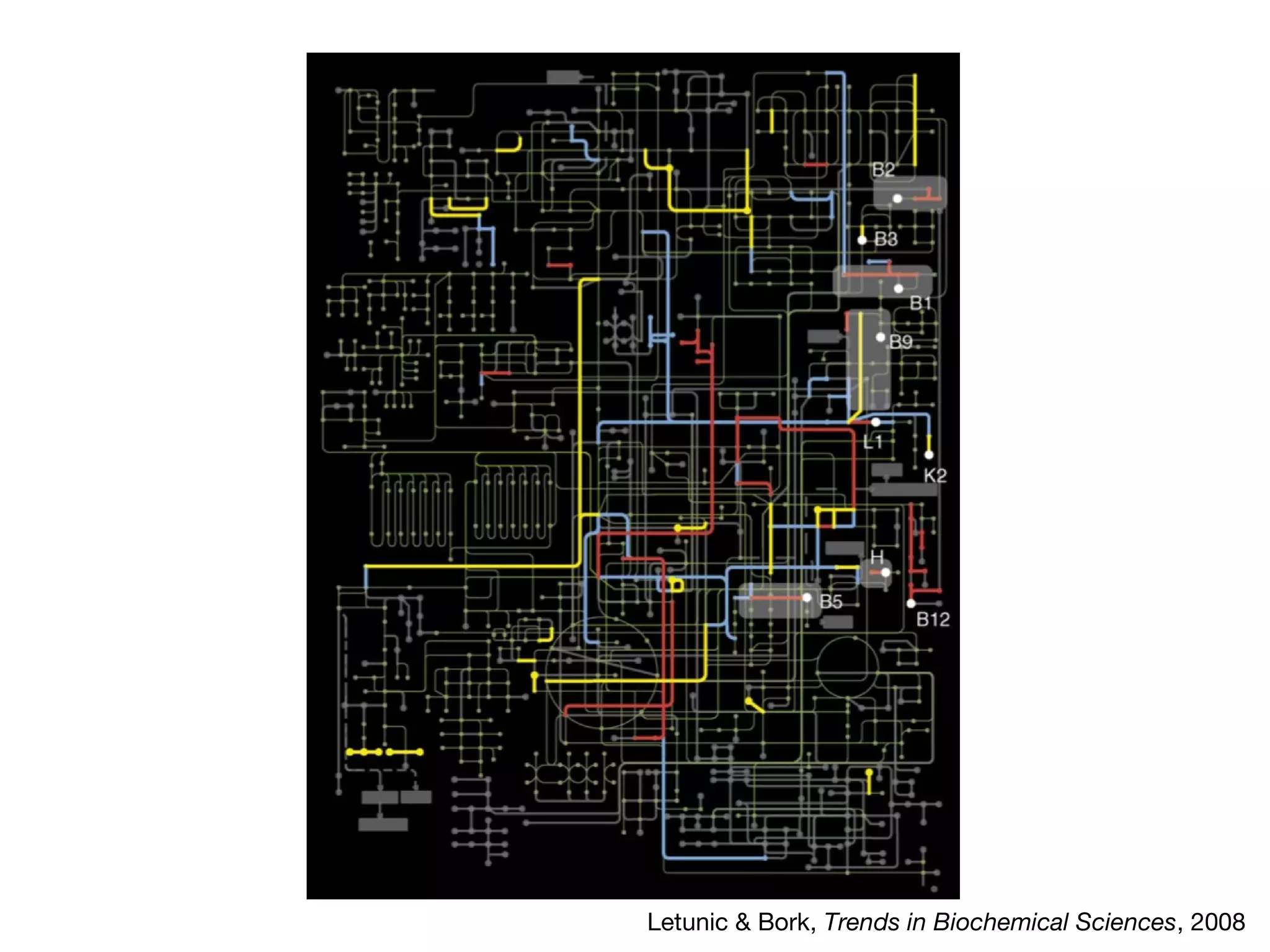 STRING: Large-scale data and text mining | PPT