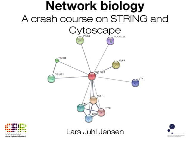 Network biology: A crash course on STRING and Cytoscape | PPT