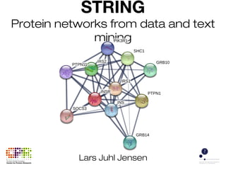 STRING: Protein networks from data and text mining | PPT