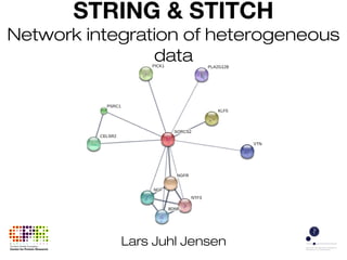 STRING & STITCH : Network integration of heterogeneous data | PPT