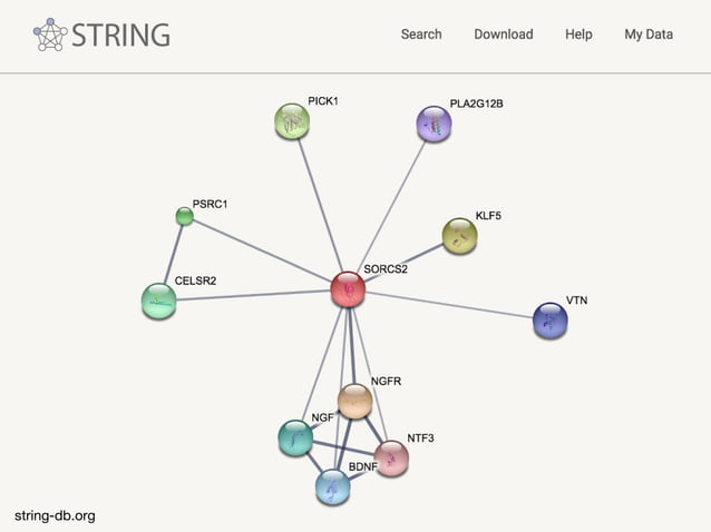 STRING & STITCH : Network integration of heterogeneous data | PPT | Databases | Computer ...