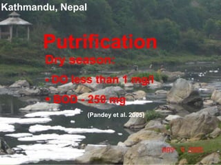 JENSSEN & PANDEY 2012 Water Treatment Processes.ppt