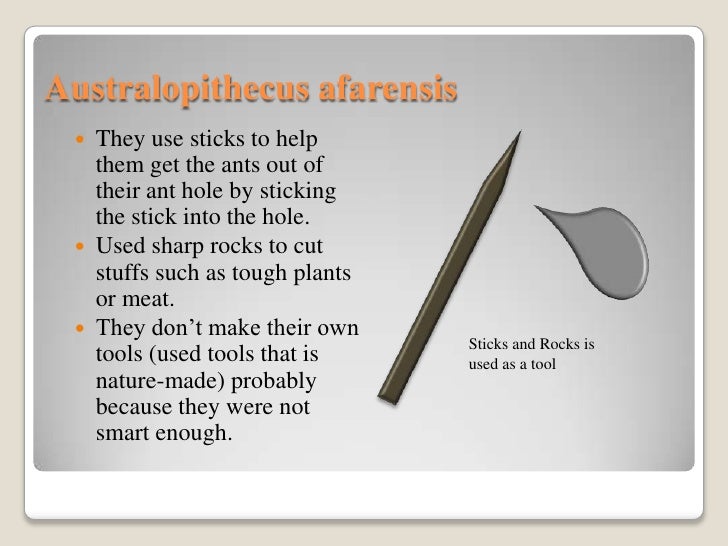 Jeongminc early human’s tools