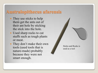 Jeongminc early human’s tools | PPT