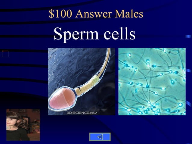 Jeopardy Sex Education Edition1 Ppt Birth Control Reproductive Health