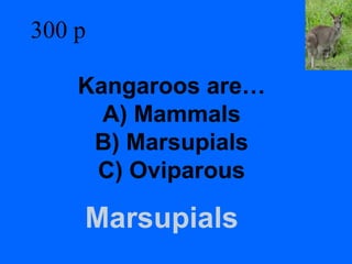 Jeopardy australia game | PPT