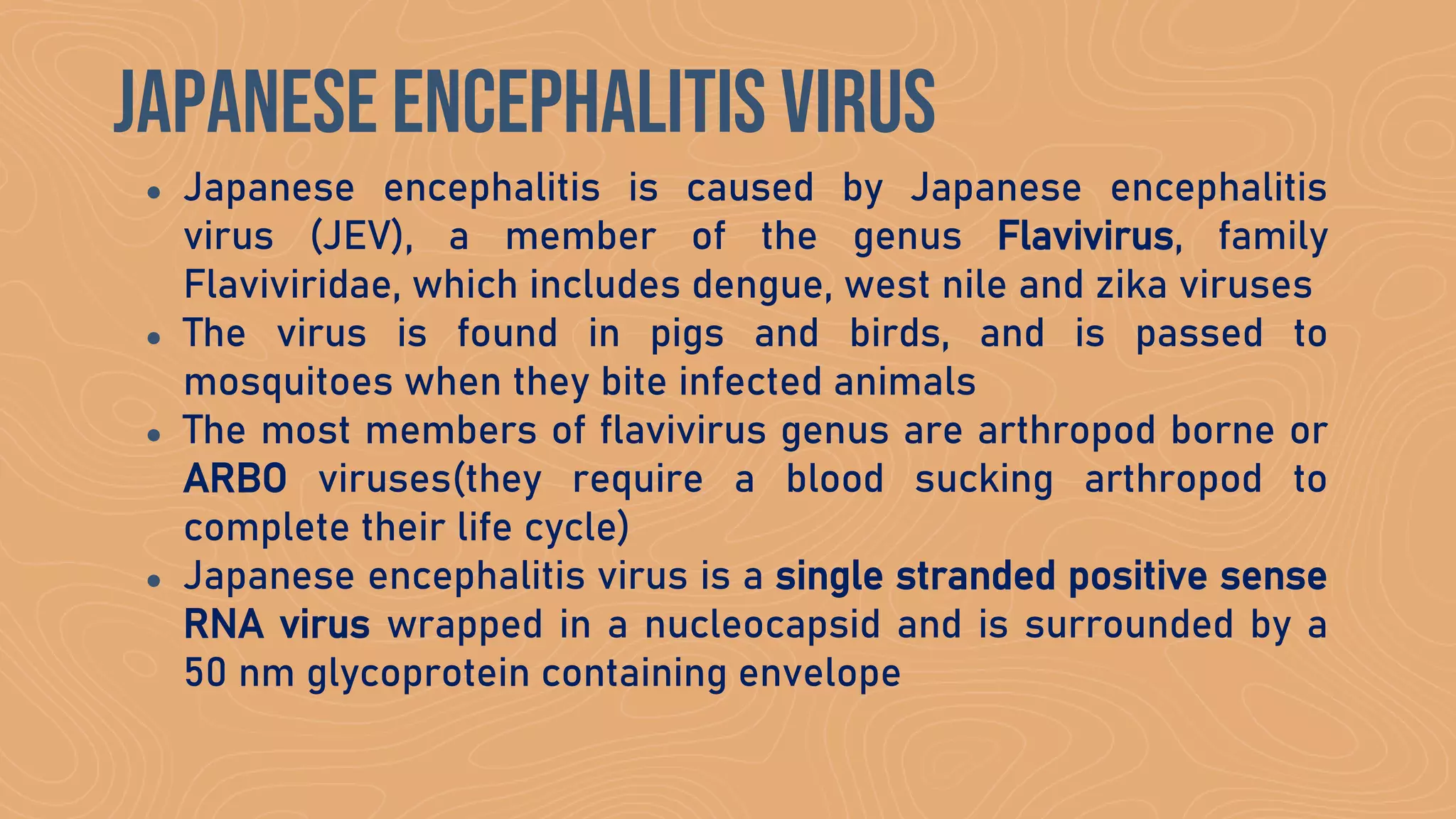 JAPANESE ENCEPHALITIS- OVERVIEW | PPTX