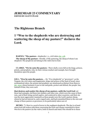Jeremiah 23 commentary | PDF