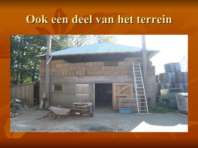 LWT stage van Jeremy Clusius College te Schagen | PPT