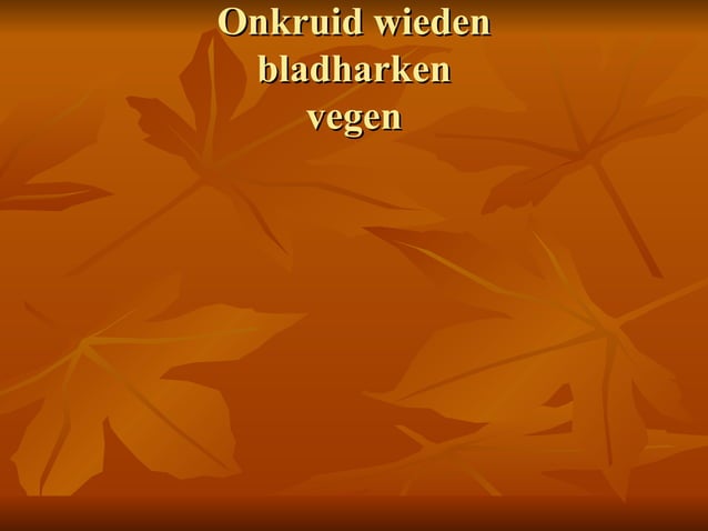 LWT stage van Jeremy Clusius College te Schagen | PPT