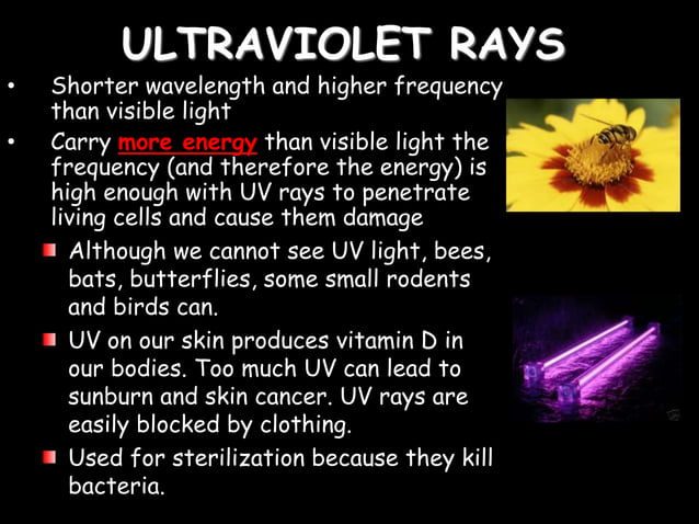 Electromagnetic spectrum.ppt | Physics | Science