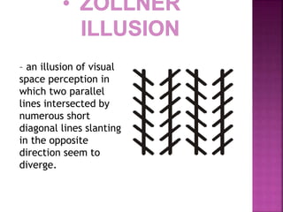 Organization in Perception | PPT