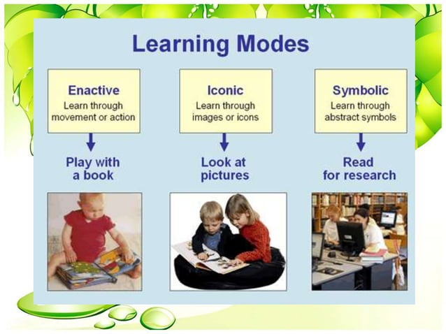 Jerome bruner’s theory of learning | PPT
