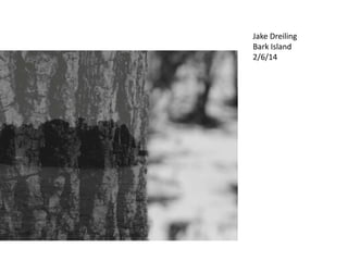 Jerry uelsmann | PPTX