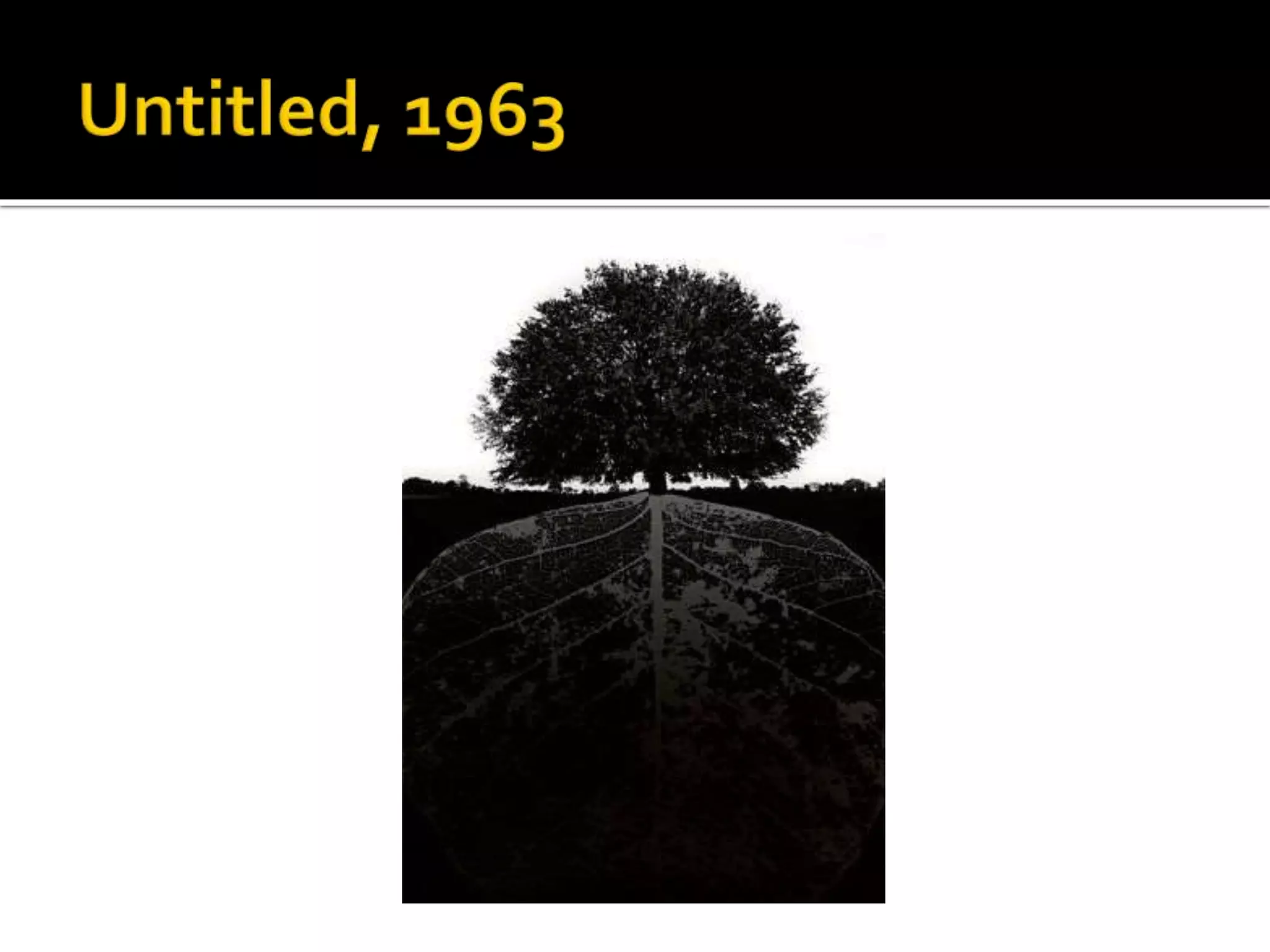 Jerry uelsmann | PPTX