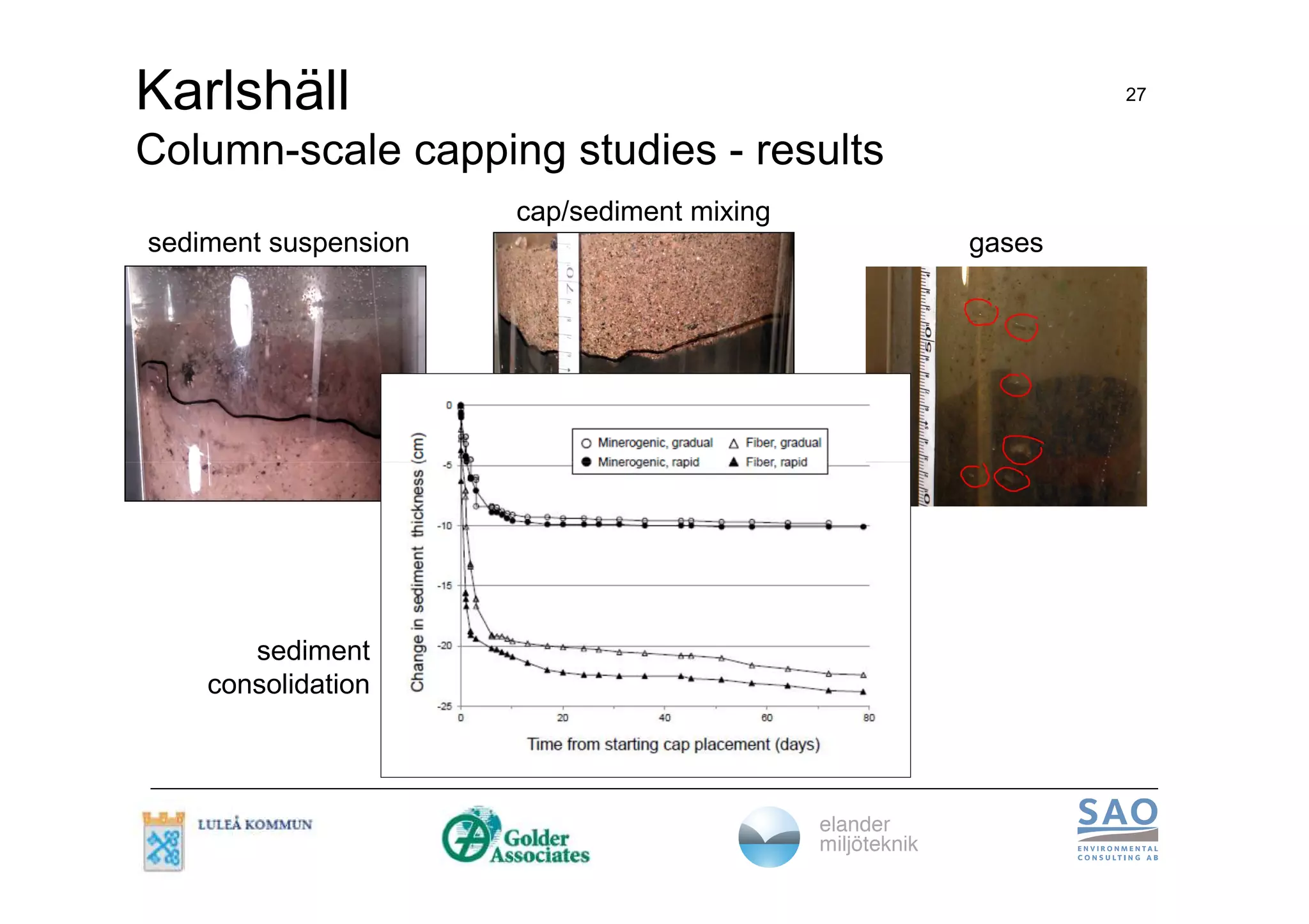 Jersak: In situ remedial capping | PDF