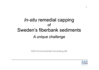 Jersak: In situ remedial capping | PPT