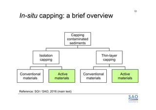 Jersak: In situ remedial capping | PDF