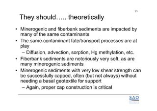 Jersak: In situ remedial capping | PPT