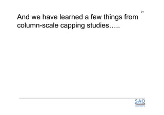 Jersak: In situ remedial capping | PPT