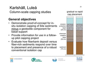 Jersak: In situ remedial capping | PPT