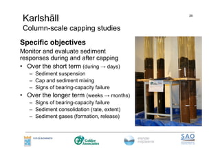 Jersak: In situ remedial capping | PPT