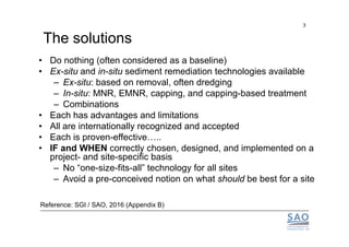 Jersak: In situ remedial capping | PPT
