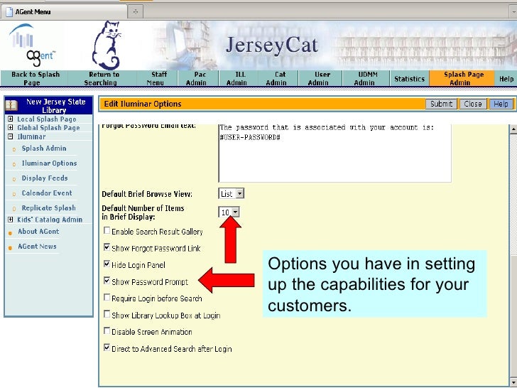 Jersey cat 3.7