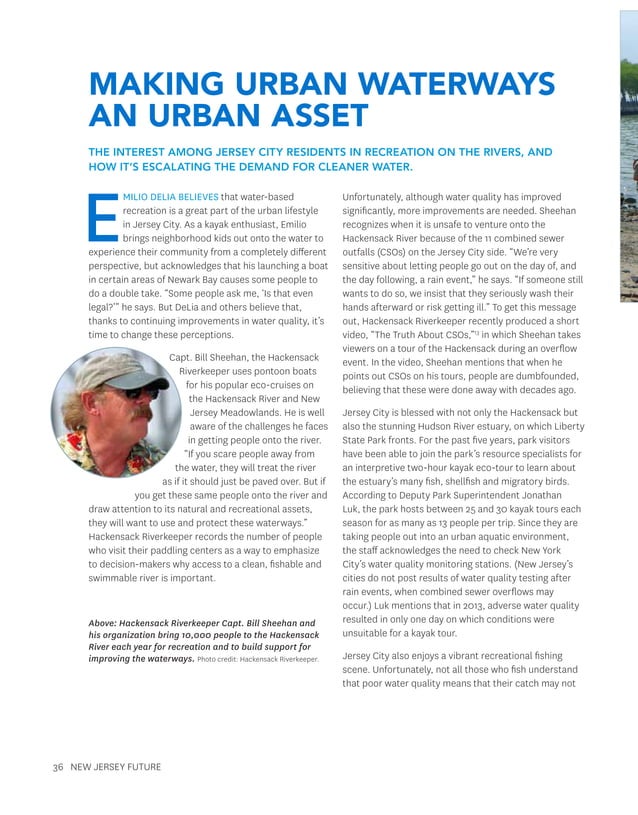 Ripple Effects - Case Study on Jersey City | PDF