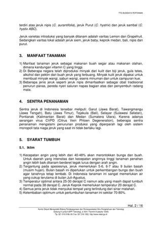 Teknis Budidaya Jeruk | PDF