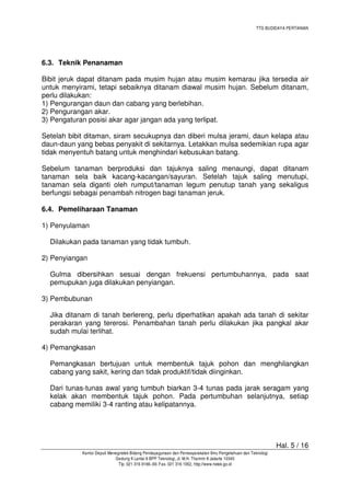 Teknis Budidaya Jeruk | PDF