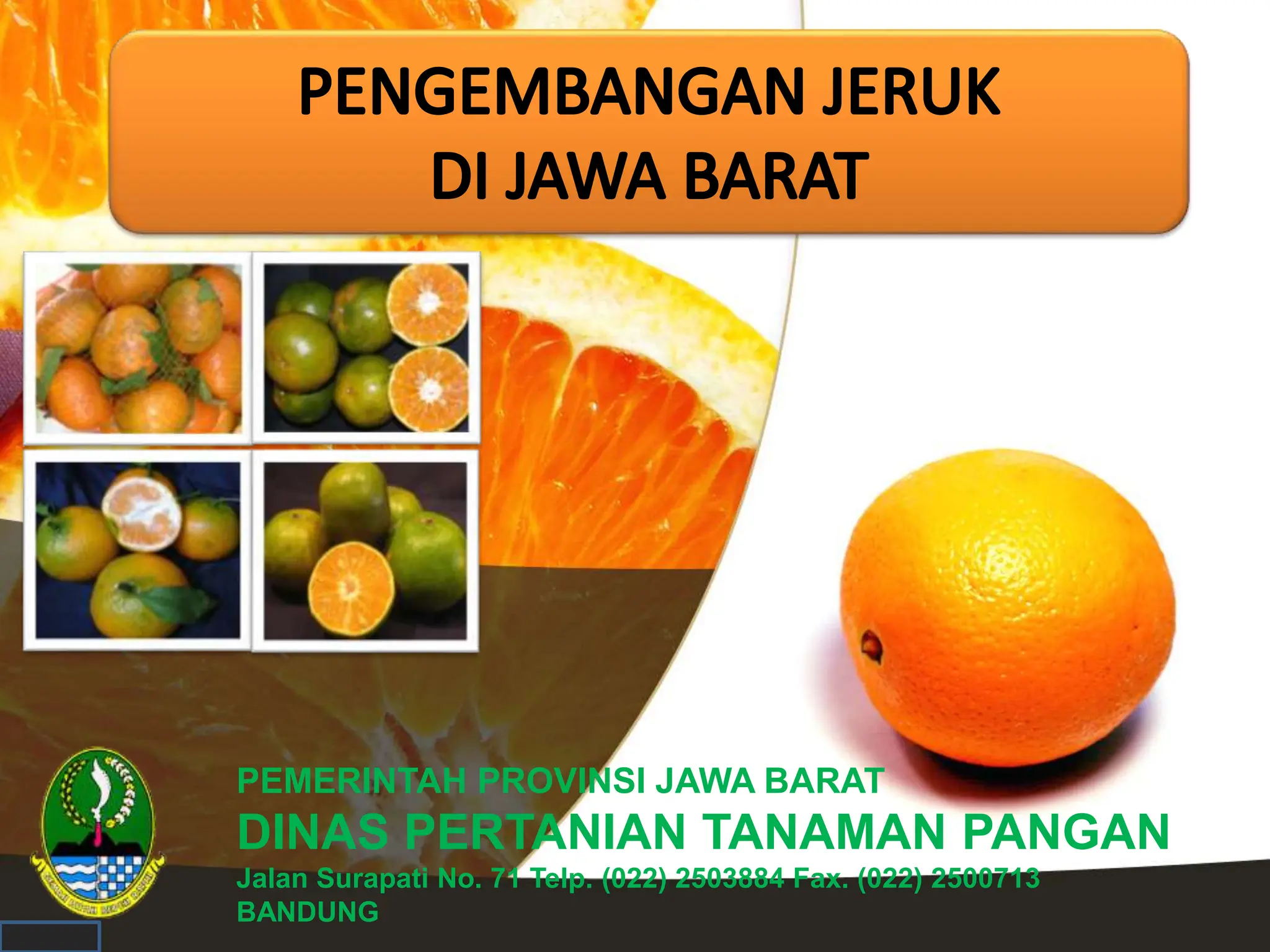 Jeruk FINAL 2 (1).ppt