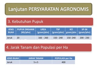 Jeruk FINAL 2 (1).ppt