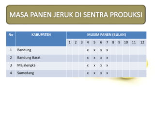 Jeruk FINAL 2 (1).ppt